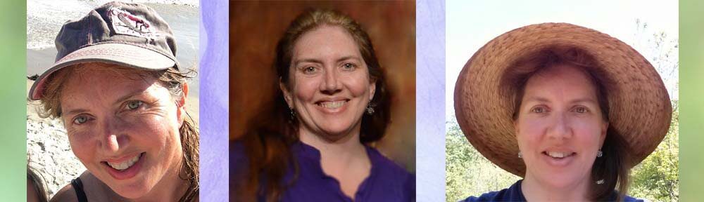 About Tracy ~ TLH Web Solutions LLC